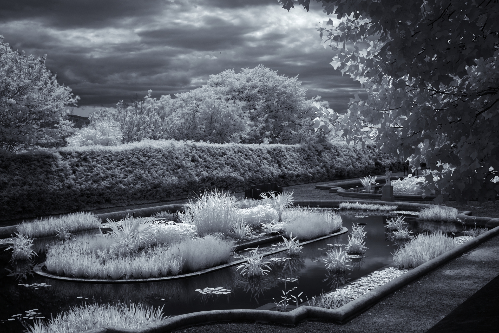 infrared landscapes - Bob Gottlieb Photography