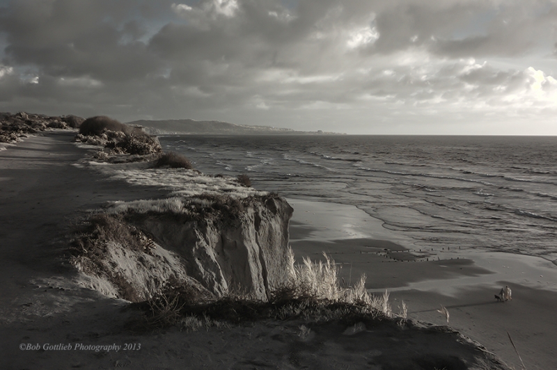 colored infrared - Bob Gottlieb Photography